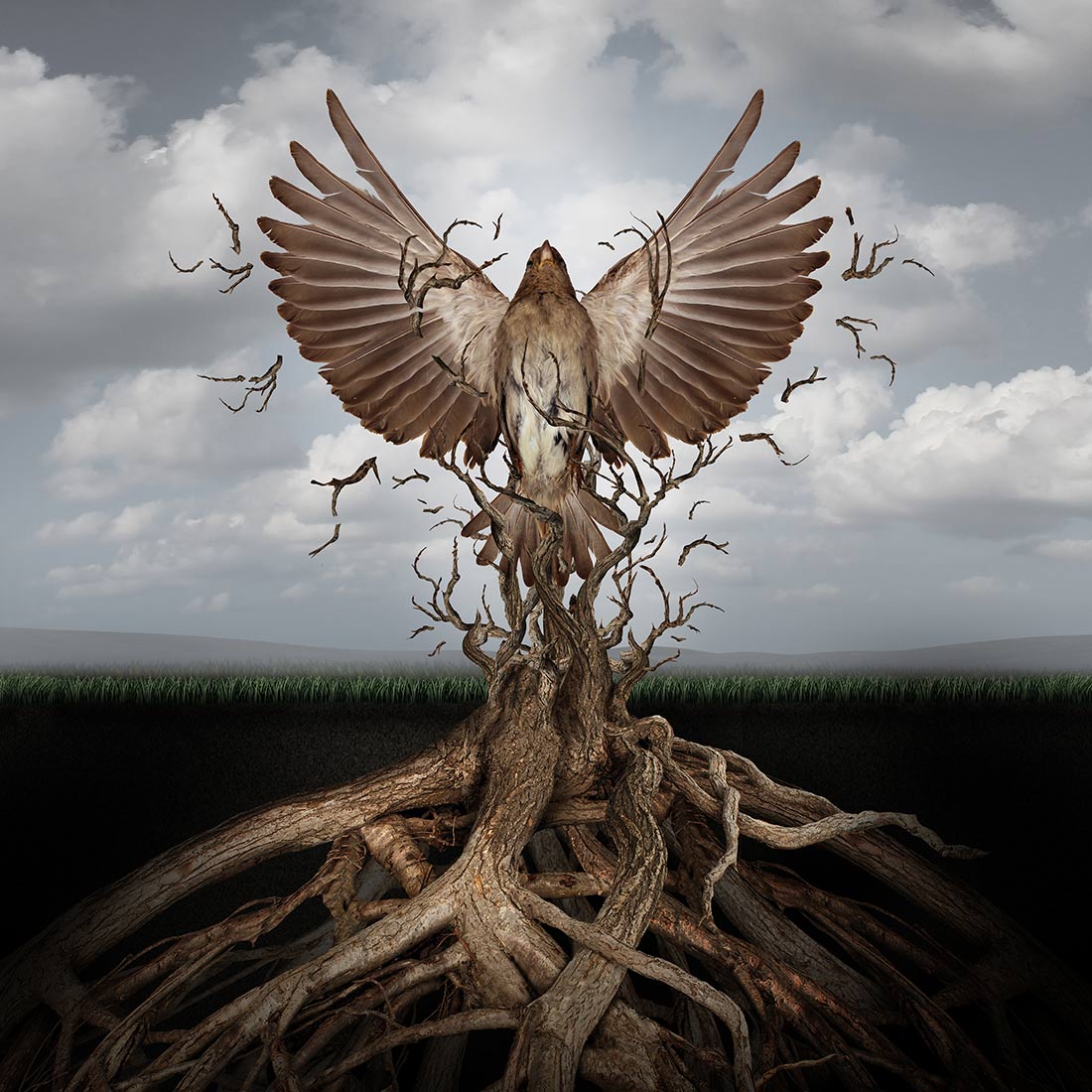 Port-drawing-tips Travel King International